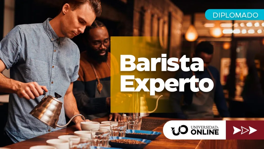 Universidad | PROGRAMA BARISTA
